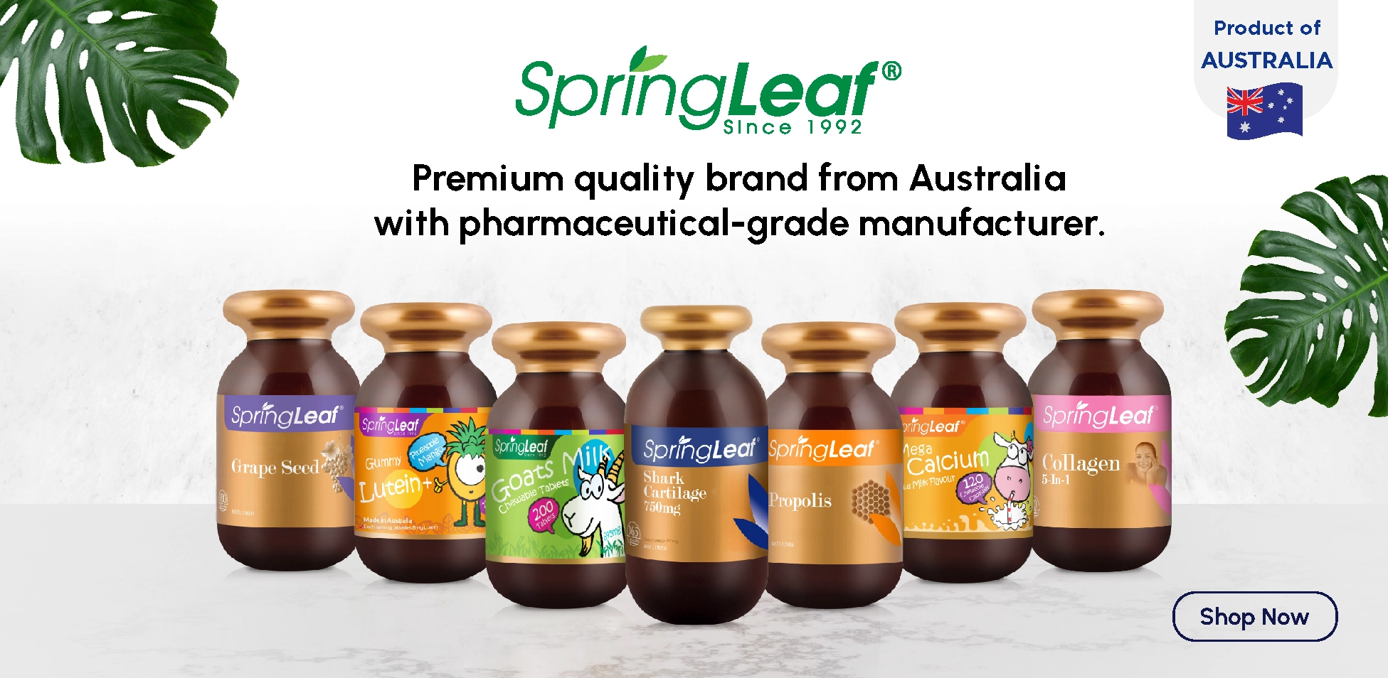 SpringLeaf | Spring Leaf sells vitamins, supplements, imports | Tops Vita